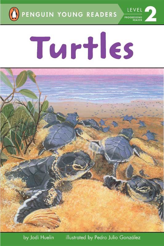 PYR LEVEL-2: TURTLES (PROGRESSING READER) - Paramount Books