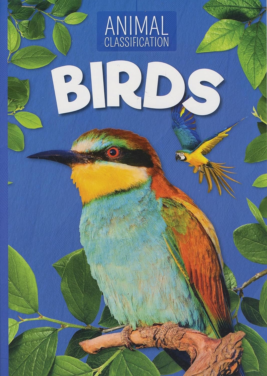 ANIMAL CLASSIFICATION BIRDS - Paramount Books
