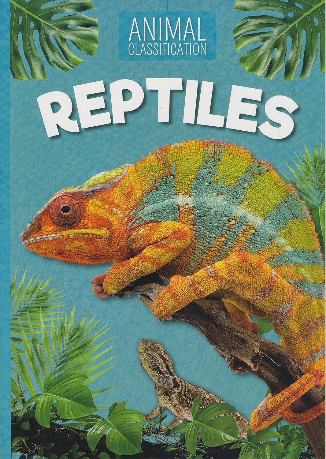 ANIMAL CLASSIFICATION REPTILES - Paramount Books