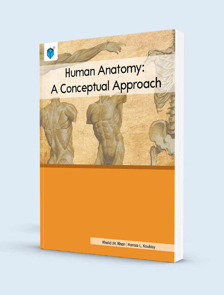 Human Anatomy Guide | Conceptual Approach Int Edition - Paramount Books